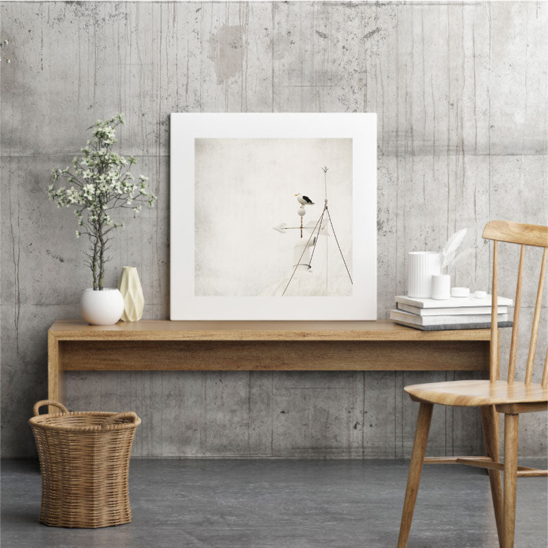 'The Zen Seagull' Coastal Wall Art – Maggy Morrissey Photography